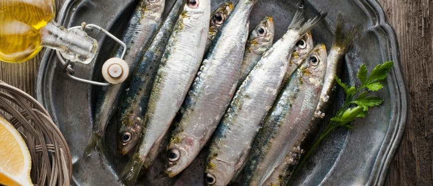 Lista de pescados azules más saludables y ricos en omega-3 | Blog ...